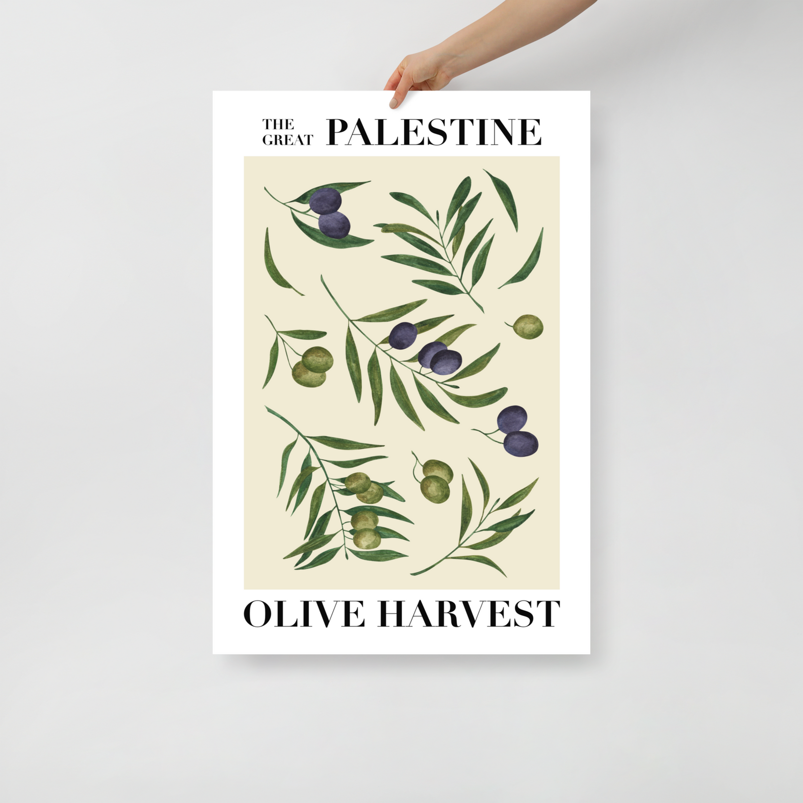 Palestine Olive Harvest Poster – Muslim Breakfast Club